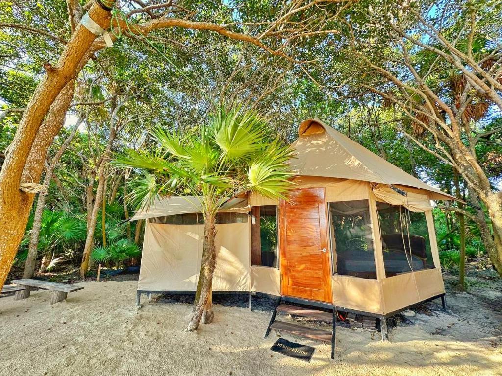 Beachfront luxury glamping, Punta Allen (precios actualizados 2025)