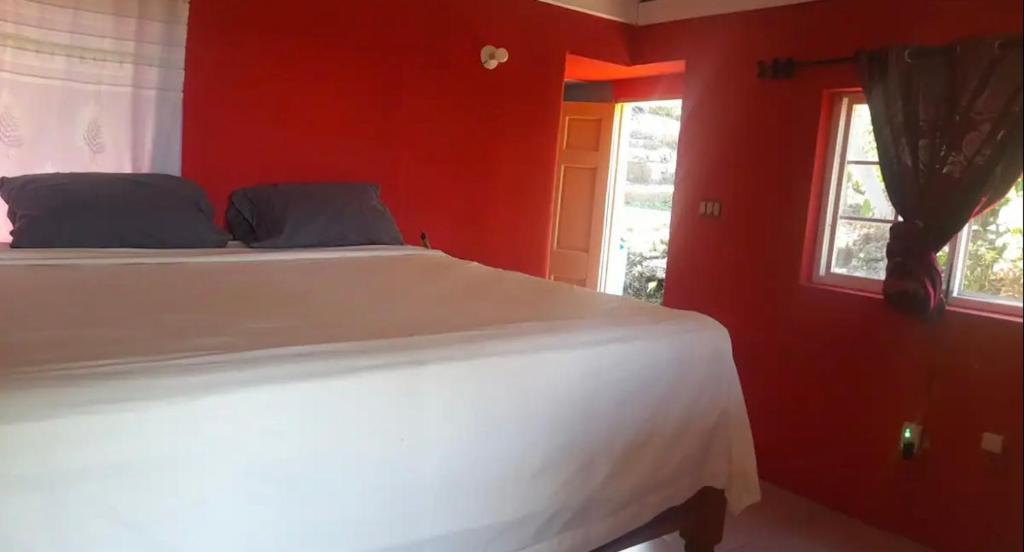 Backra’s Resort, Port Antonio (tarifs actualisés, 2025)