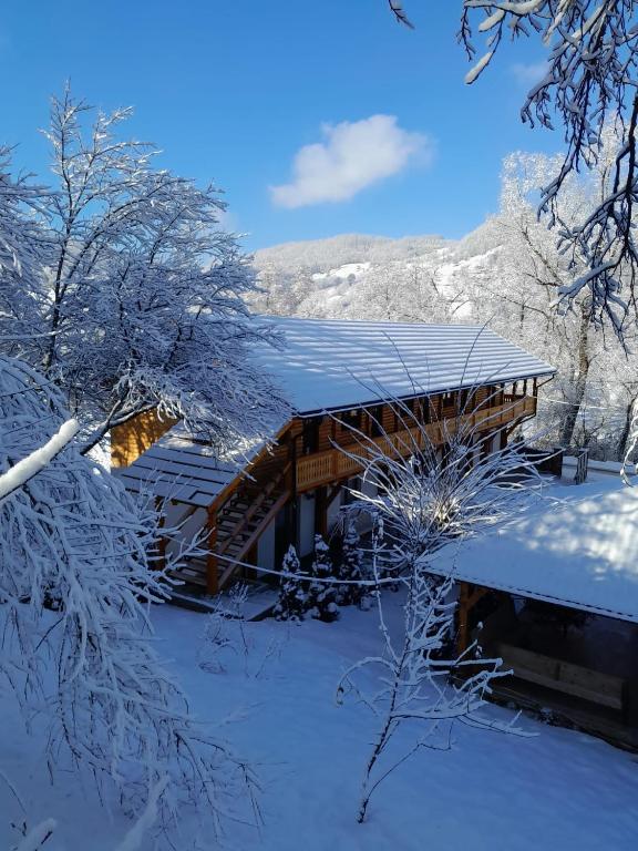 Pensiunea Malinul, Bîrsana (prețuri actualizate 2025)