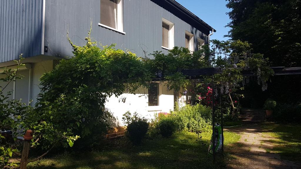 Wilke Wohnungen Bad Arolsennull