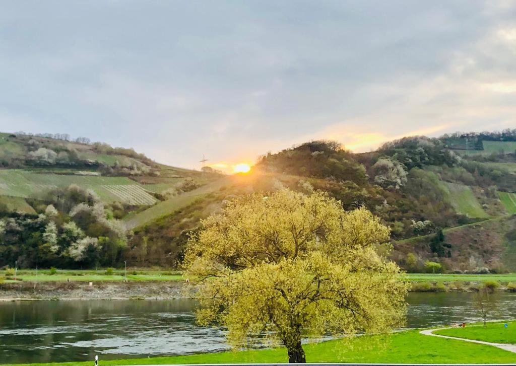 Chalet a Moselle, Wintrich (updated prices 2025)