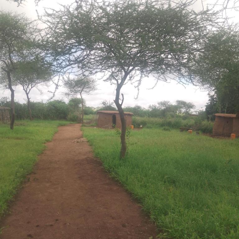 Osiligi Maasai Boma Simanjiro, Terrat (updated prices 2025)