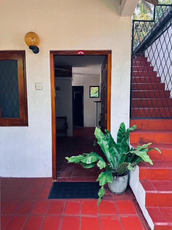 Osheena Villa, Hikkaduwa (updated prices 2026)