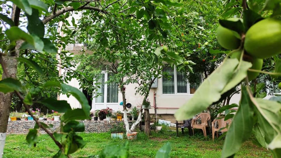 Pomegranate Apartments, Gonio, Gonio (updated prices 2025)