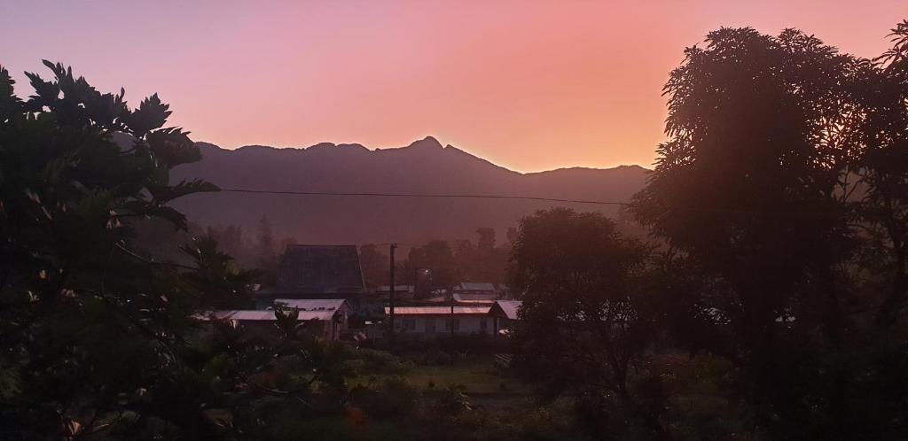 New Mavida Lodge, Levuka (updated prices 2025)