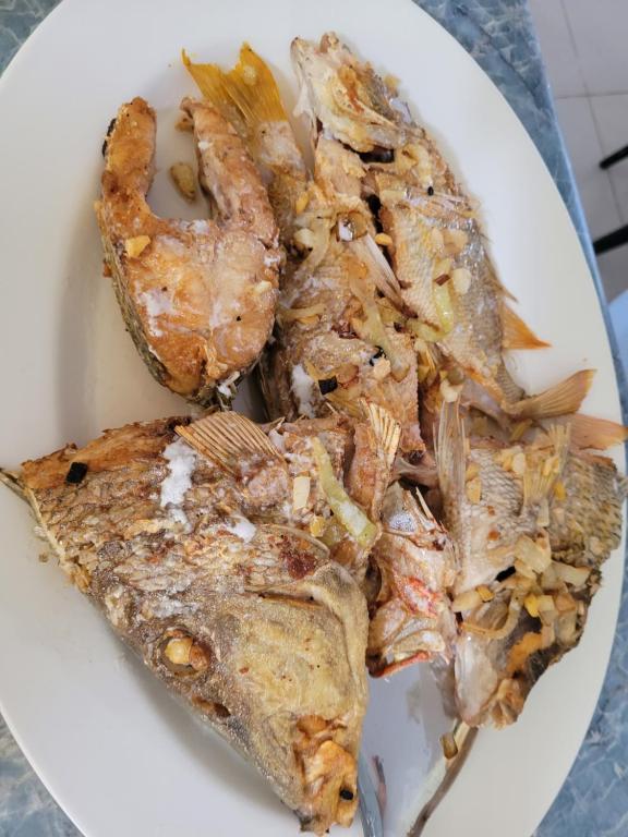 New Mavida Lodge, Levuka (updated prices 2025)