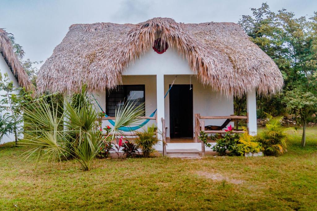 Hotel - CABAÑAS THAJU - HUASTECA POTOSINA, El Naranjito (precios ...