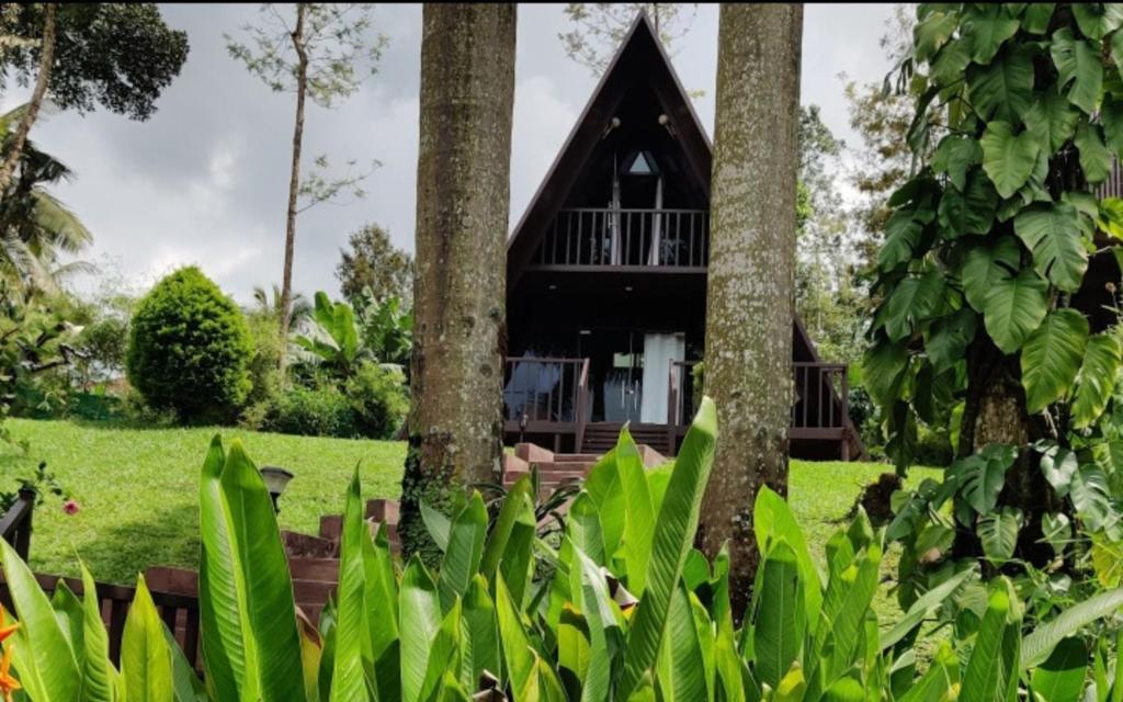 Chandramukuta Retreats by StayApart, Avathi (updated prices 2026)