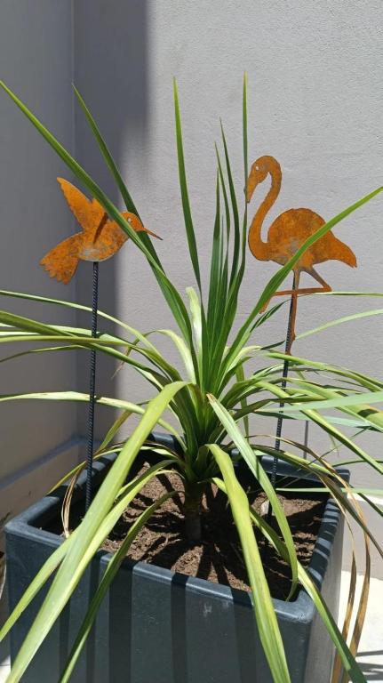 Rancho Blanco, Villa Dolores (updated prices 2025)