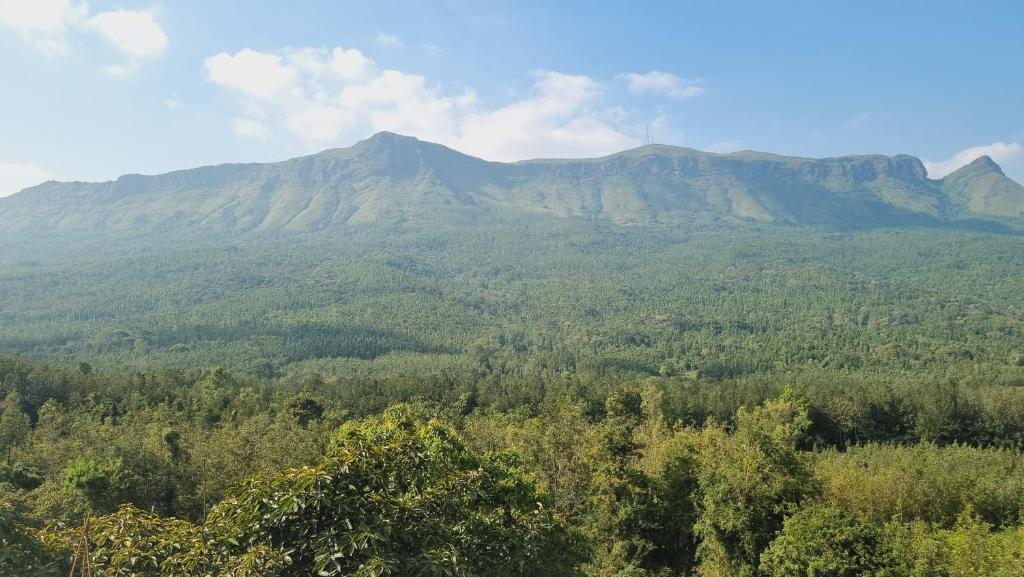 The Inchara Vista, Chikmagalur (precios actualizados 2025)