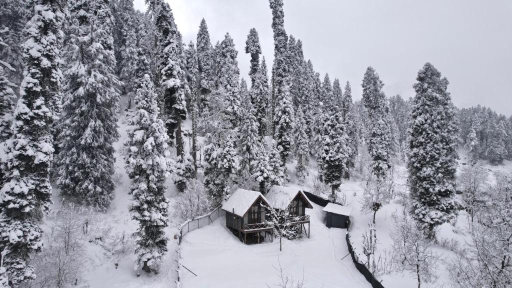 Solomons Gray, Tangmarg – Aktualisierte Preise für 2024