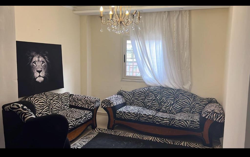 Gardenia city, Cairo (updated prices 2025)