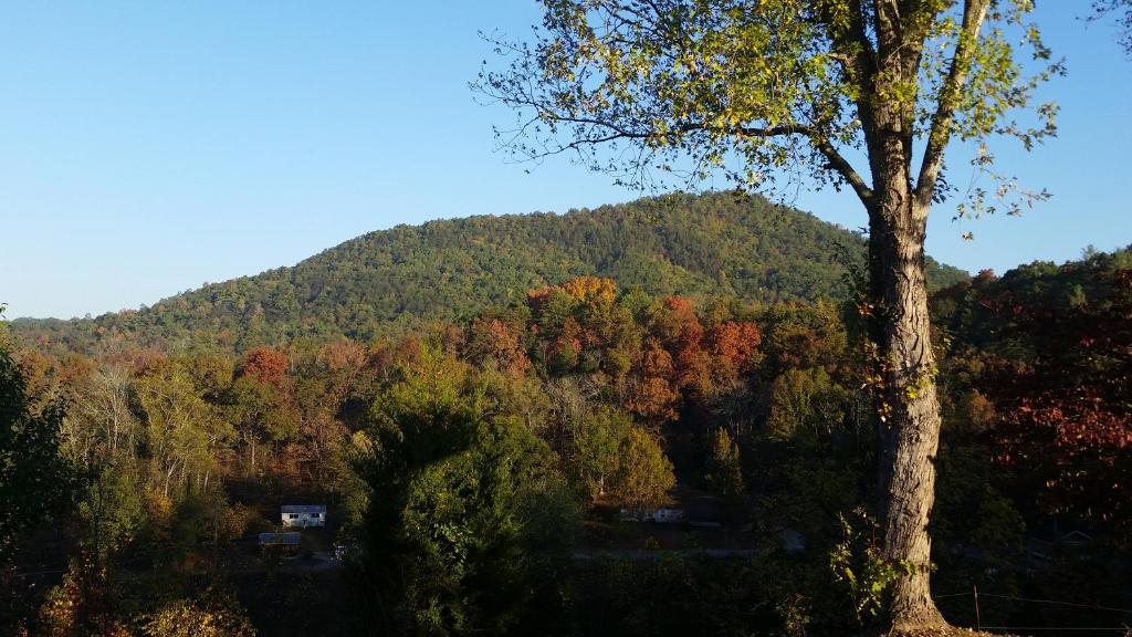 Cypress Ridge, Townsend (updated prices 2025)