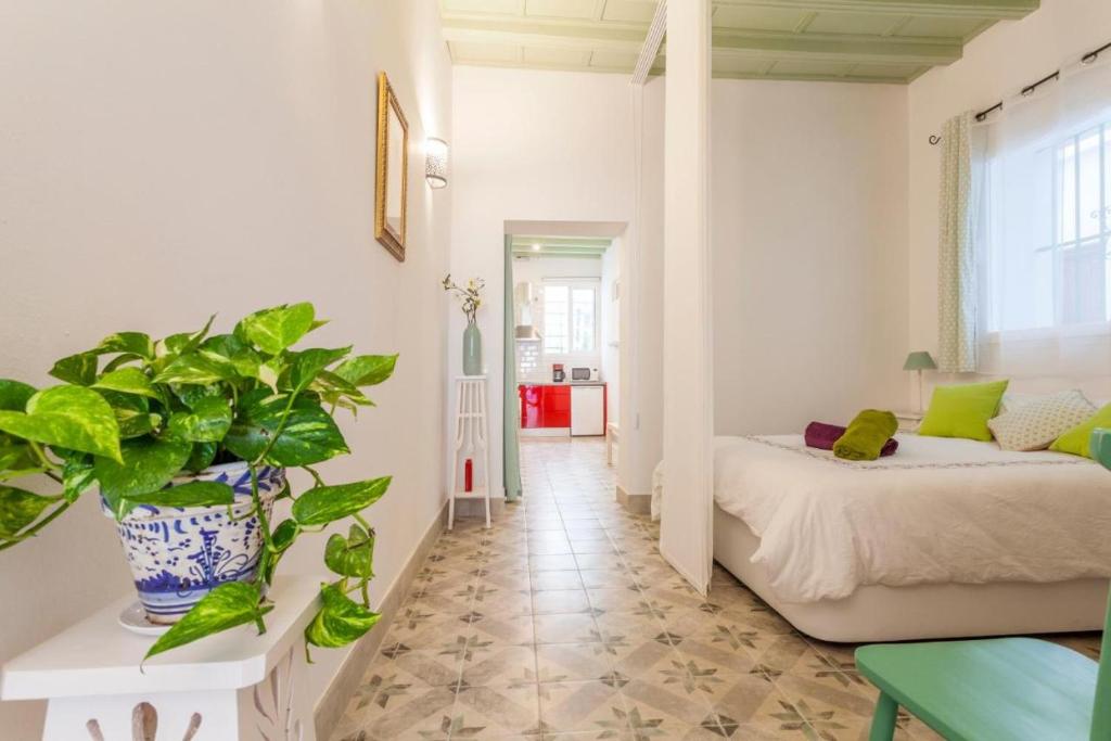 WISH SUITE PUREZA DE TRIANA SEVILLA, Seville (updated prices 2024)