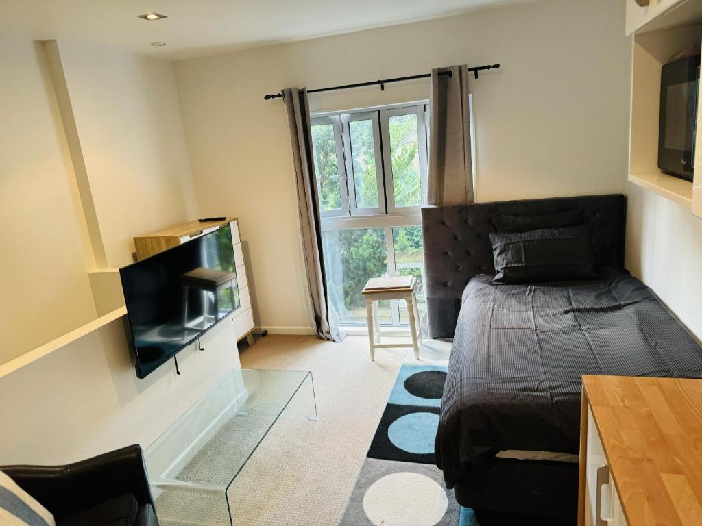 Furnished, modern studio, Wellington (updated prices 2024)