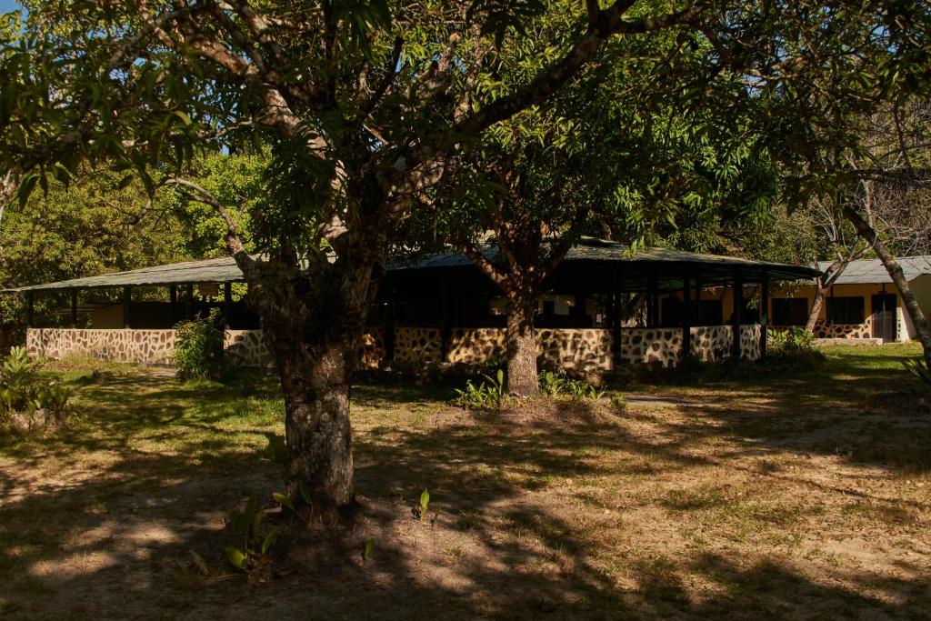 Campamento Tomás Bernal, Canaima (precios actualizados 2024)