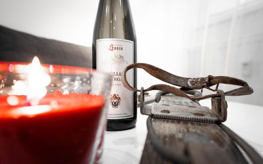 Špičák 77 Prokop STARt point No 105B, Železná Ruda (updated prices 2025)