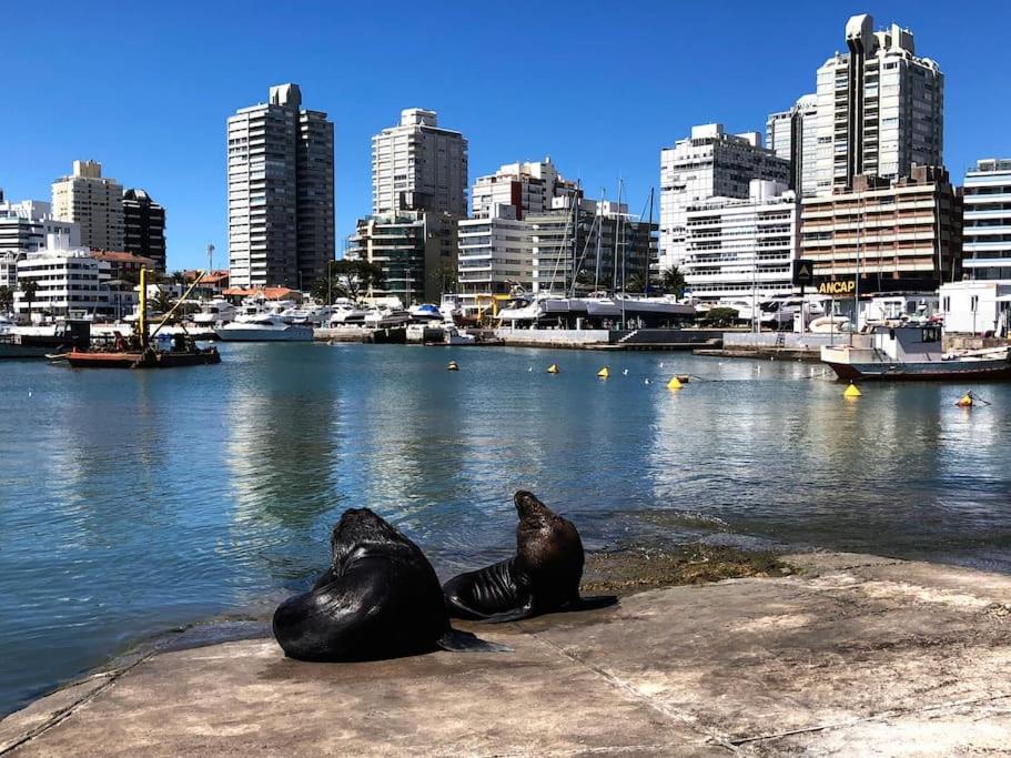PUNTA DEL ESTE * Funcional y Acogedor Apto. en la Península * 1 Dorm 3 Pers. A 150 mts. del ...