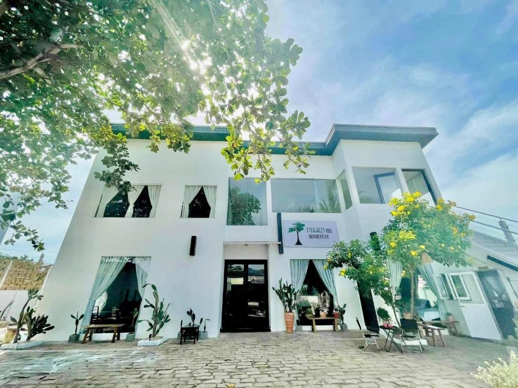 Evergreen Tree Homestay, Phan Thiet (updated prices 2025)