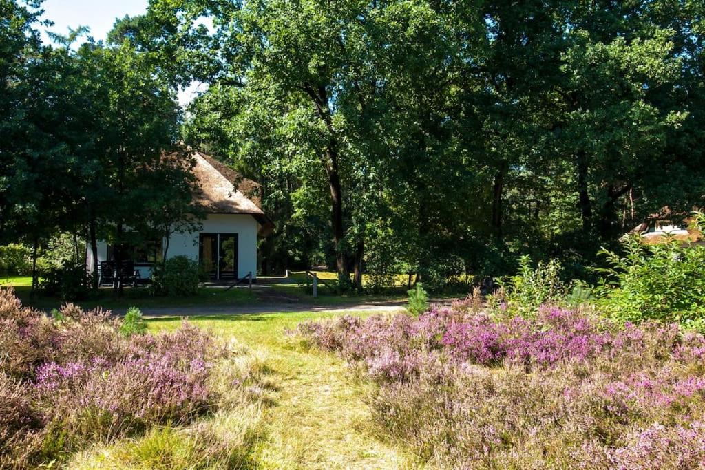 Beekje - Rolstoelvriendelijk en comfortabel 8p, Otterlo (updated prices ...