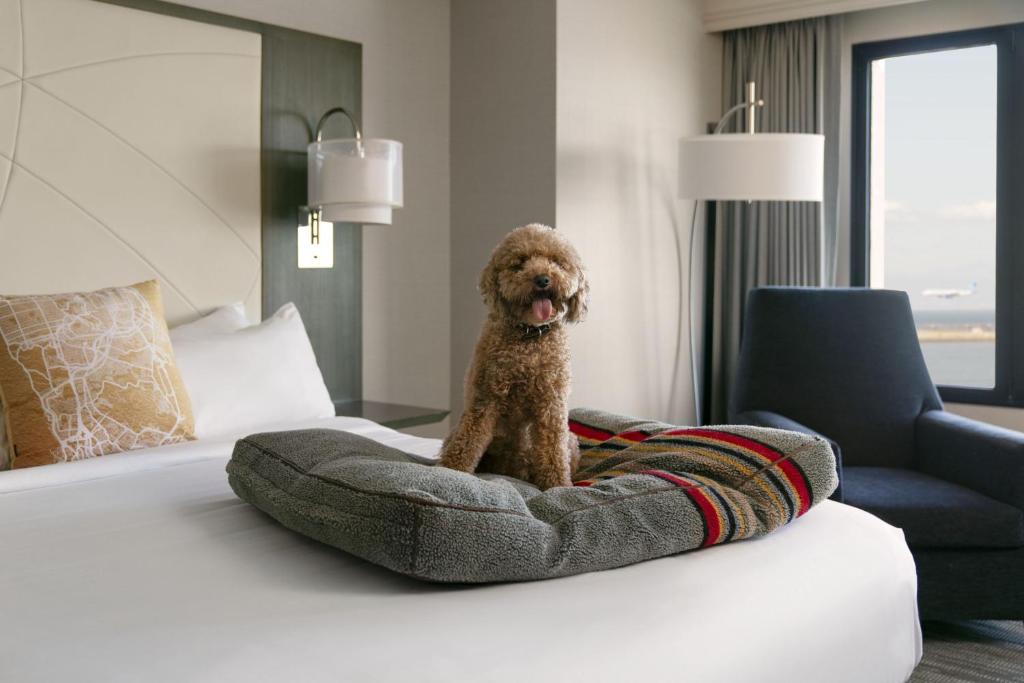 San Francisco Airport Marriott Waterfront, Burlingame (updated prices 2025)