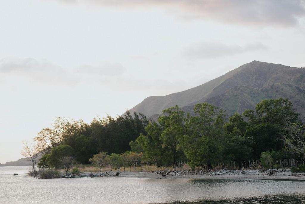 Amariah Cove, San Antonio (updated prices 2025)