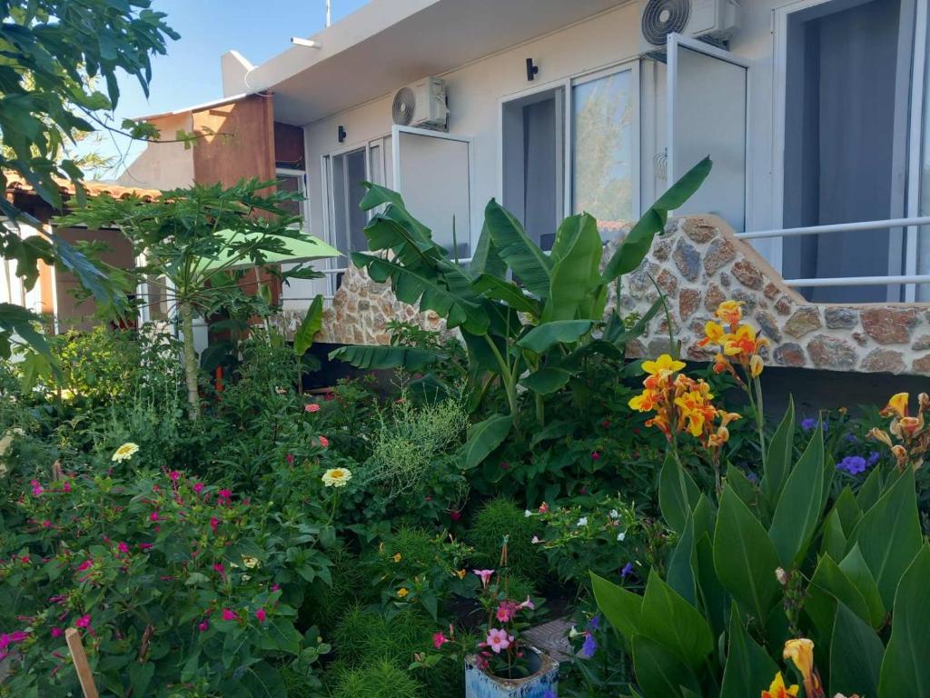 Anemomylos Apartments, Kámpos (updated prices 2026)