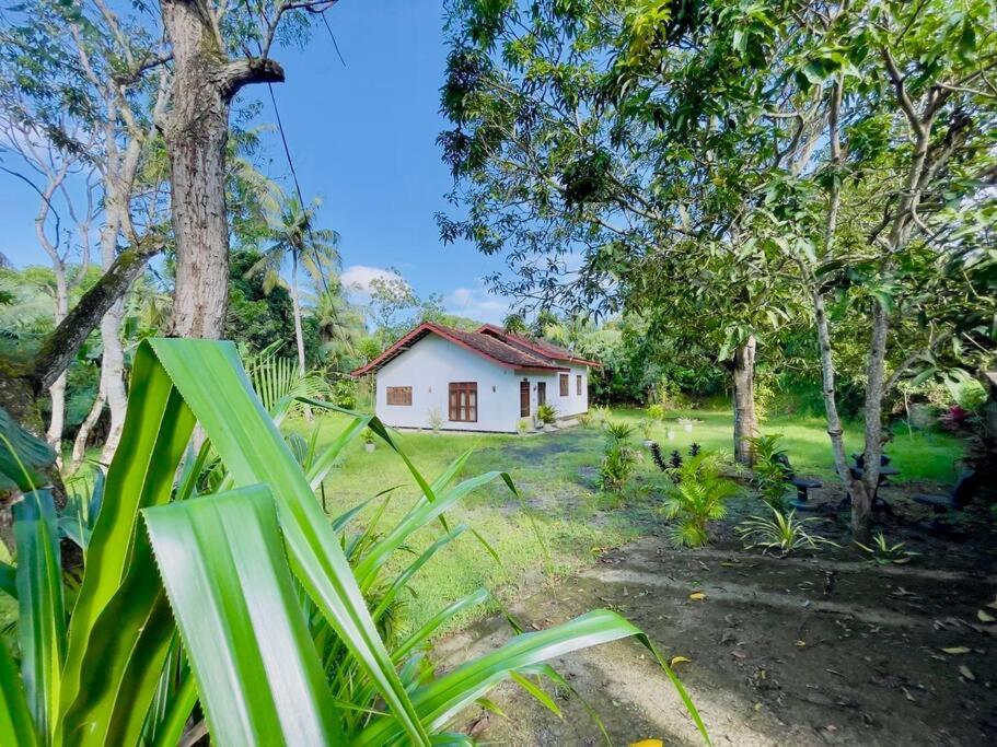 Jungle River Hideout-10 Min Walk to Modara Beach, Weligama (updated ...
