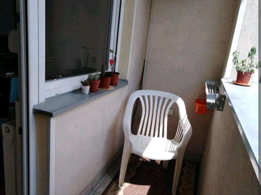 Flora Studio, Novi Sad – Updated 2024 Prices