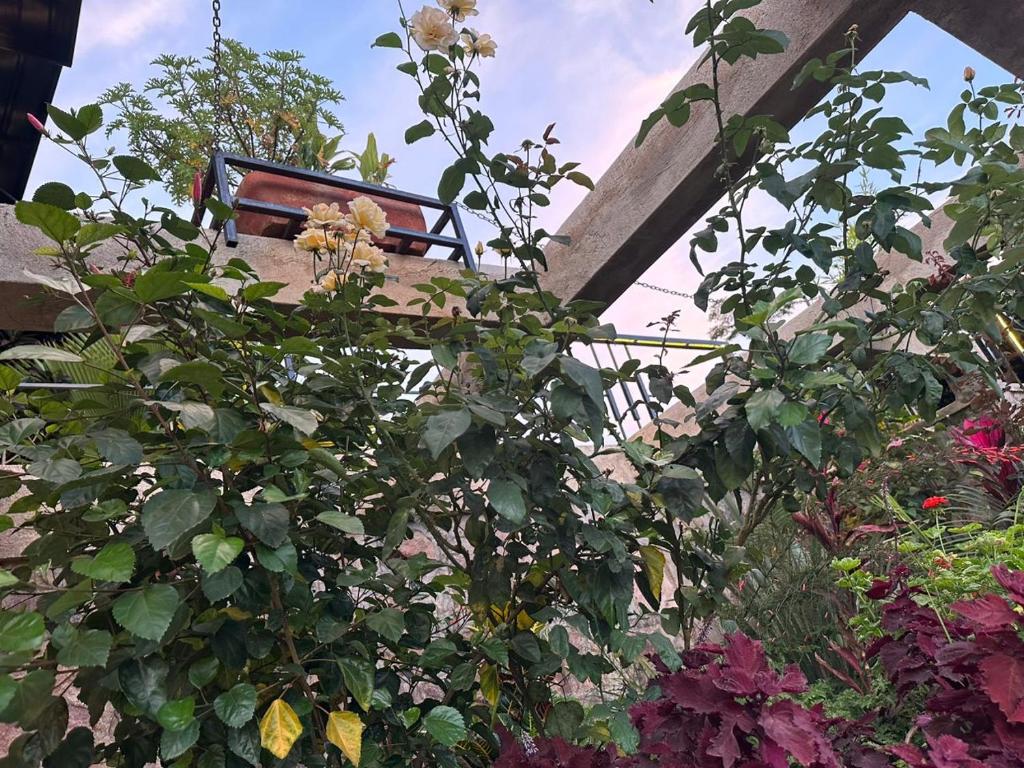 REBERO RESORT Ltd, Kigali (updated prices 2025)