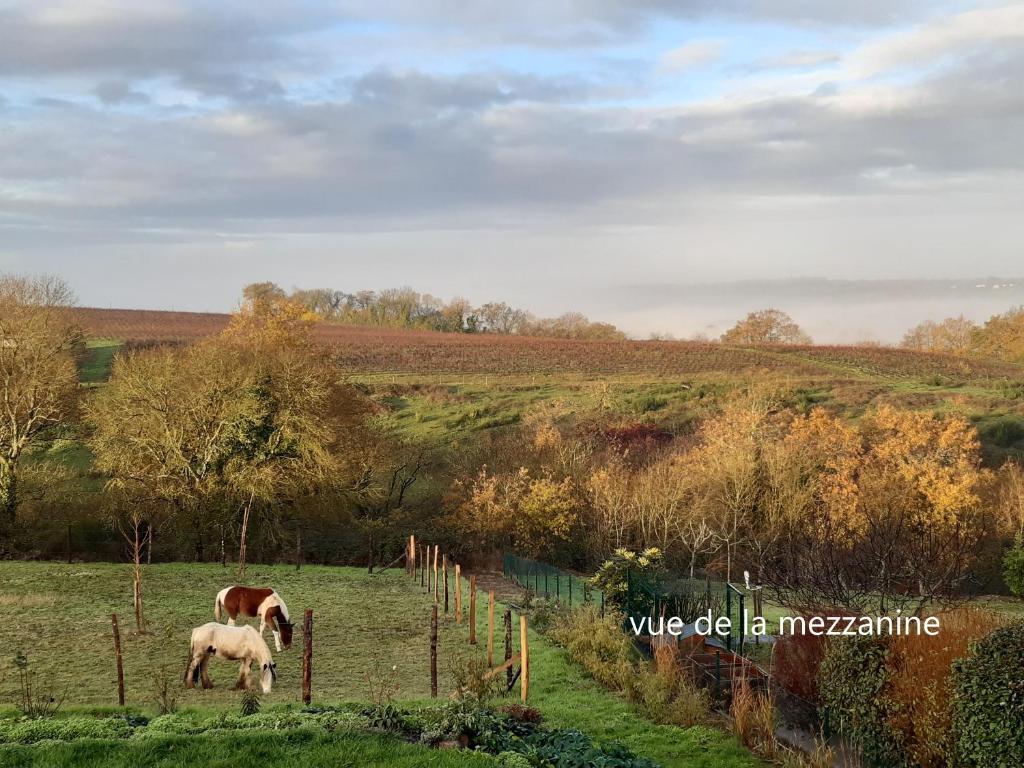 Chambre de la Divatte, Divatte sur Loire (tarifs actualisés, 2025)