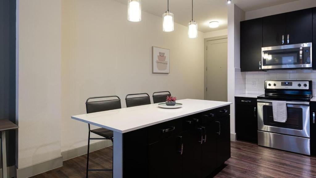 Landing Modern Apartment with Amazing Amenities (ID4422X42), Austin ...