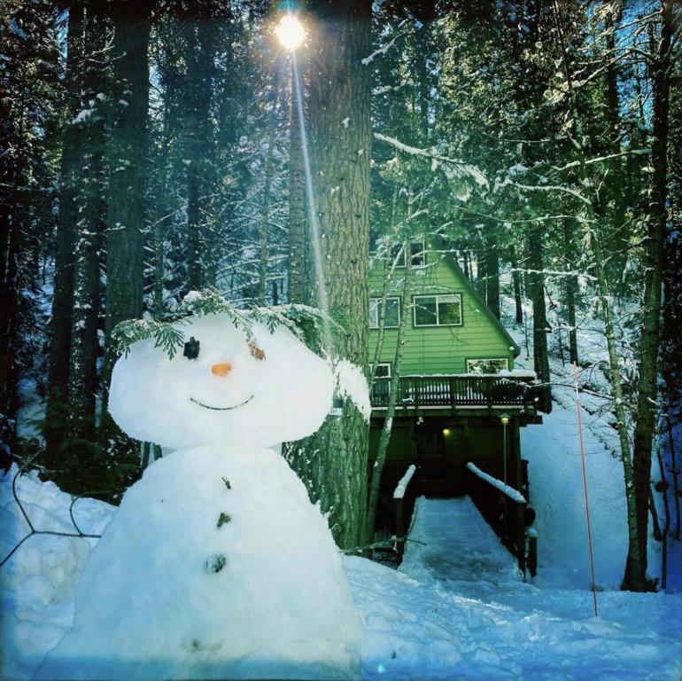 Glorious Summer at Cabin on the Creek, Camp Connell (updated prices 2025)