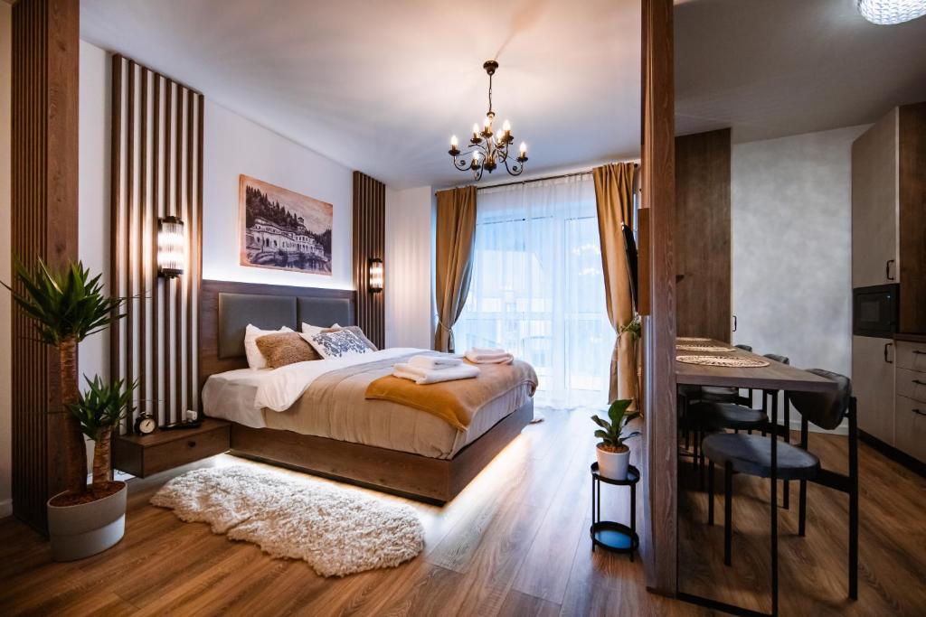 Elma Studio Sinaia - spa si piscina contra cost, Sinaia (precios ...
