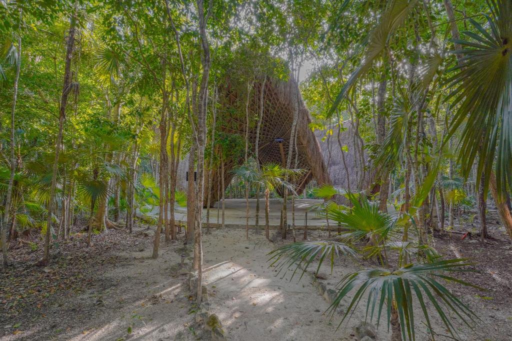 Penthouse en Aldea Zama -Luum- by Casago, Tulum (updated prices 2025)