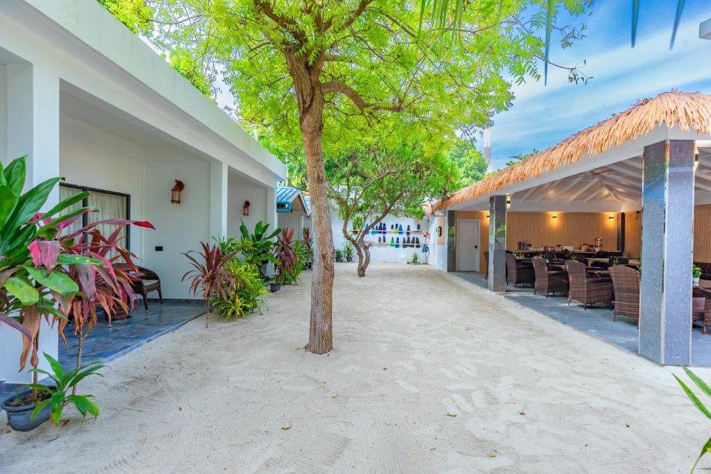 White Rock Thoddoo, Thoddoo (updated prices 2025)