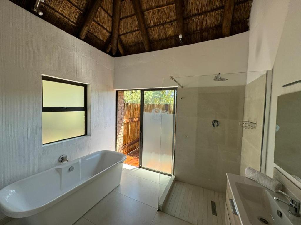 Shasha Lodge, Mabalingwe Game Reserve, Mabula (updated prices 2025)