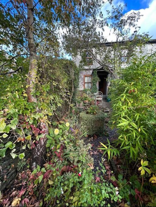 Hillside Cottage, Rhondda (updated prices 2026)