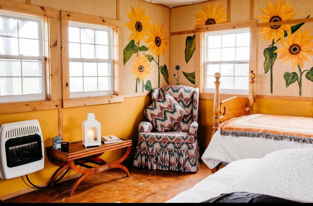 Sunset and Stargazing Sleeping Cabin-Off Grid, Hamilton – Precios ...