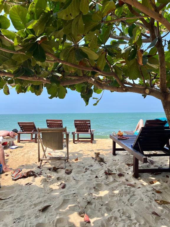 Windy Waves Kite Beach & Nature Resort, Kalpitiya – Updated 2024 Prices