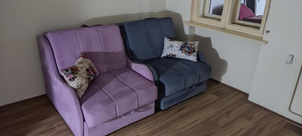 Stan 70m2, Novi Sad (updated prices 2025)