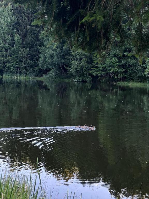 Casa Roma Lac, Brebu Nou (updated prices 2025)