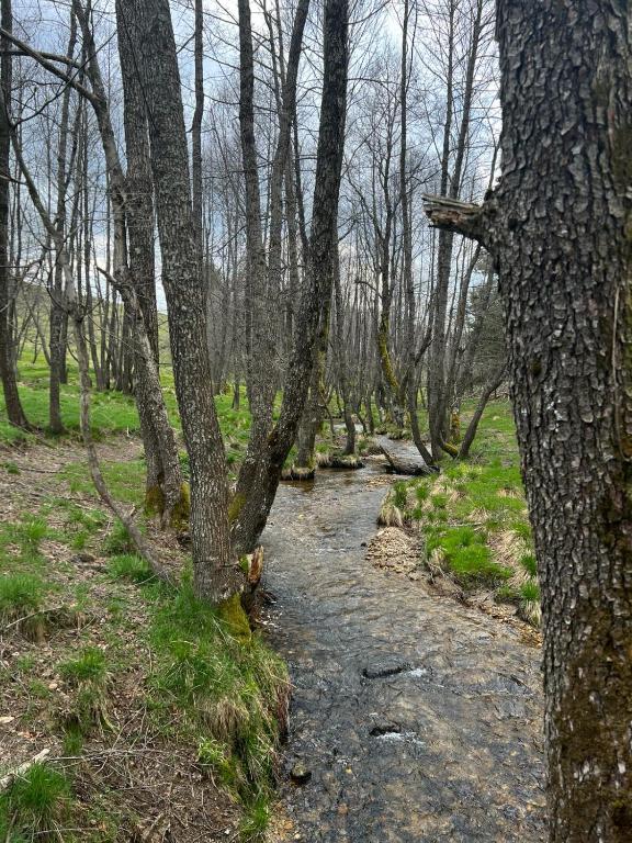 Casa Roma Lac, Brebu Nou (updated prices 2025)