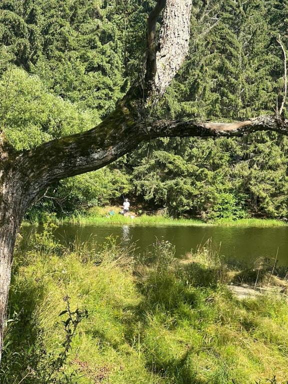 Casa Roma Lac, Brebu Nou (updated prices 2025)