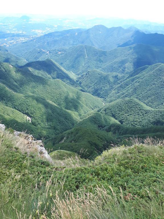 La Tana dei Tassi, Vidiciatico (updated prices 2025)