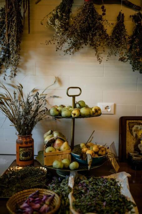 Casa Artemisia lungo il fiume con giardino privato, Marcaria (updated ...