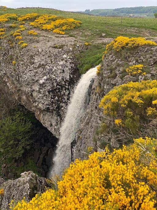 Buron Cœur d’Aubrac, Marchastel (updated prices 2025)