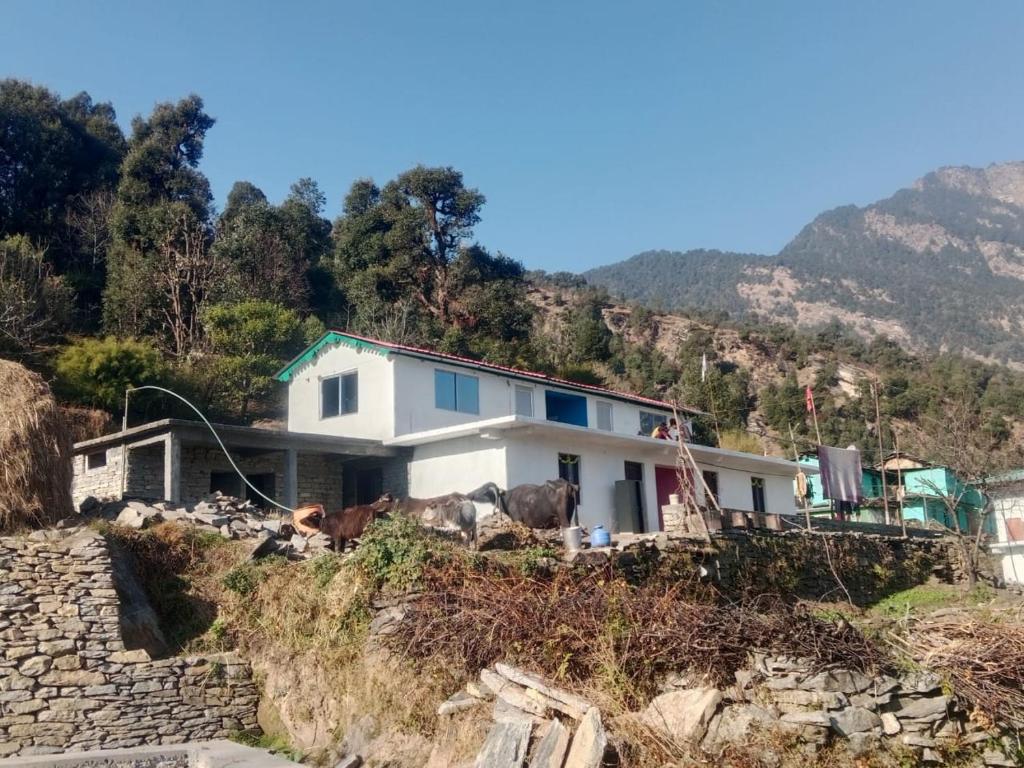 Sarmul Darshan Home Stay, Lohārkhet (updated prices 2025)