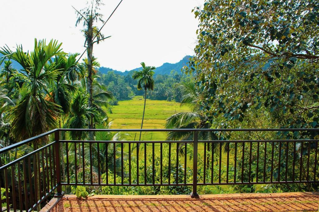 Rainforest Border Edge, Deniyaya – Updated 2024 Prices