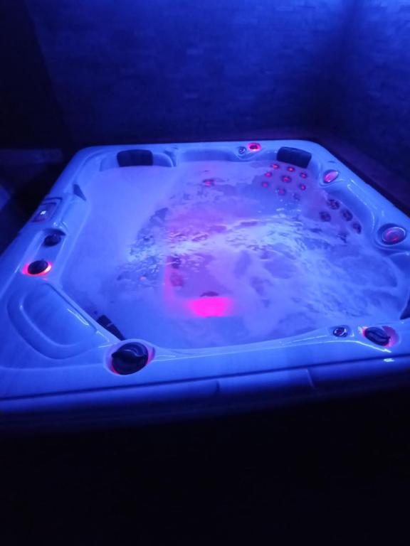 Villa Le Phoenix, Aux-Aussat (precios actualizados 2026)